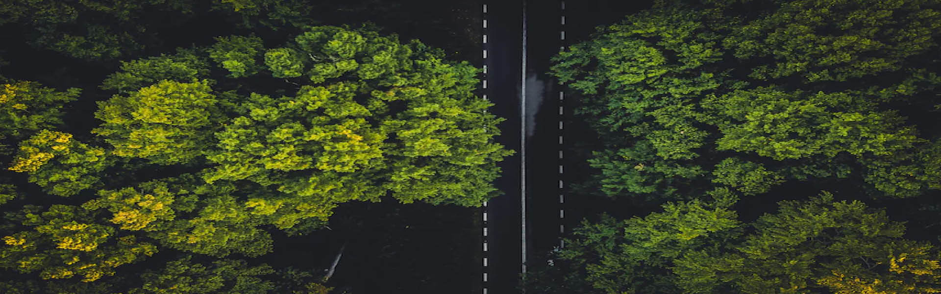 Where sustainability meets treasury - TreasurySpring