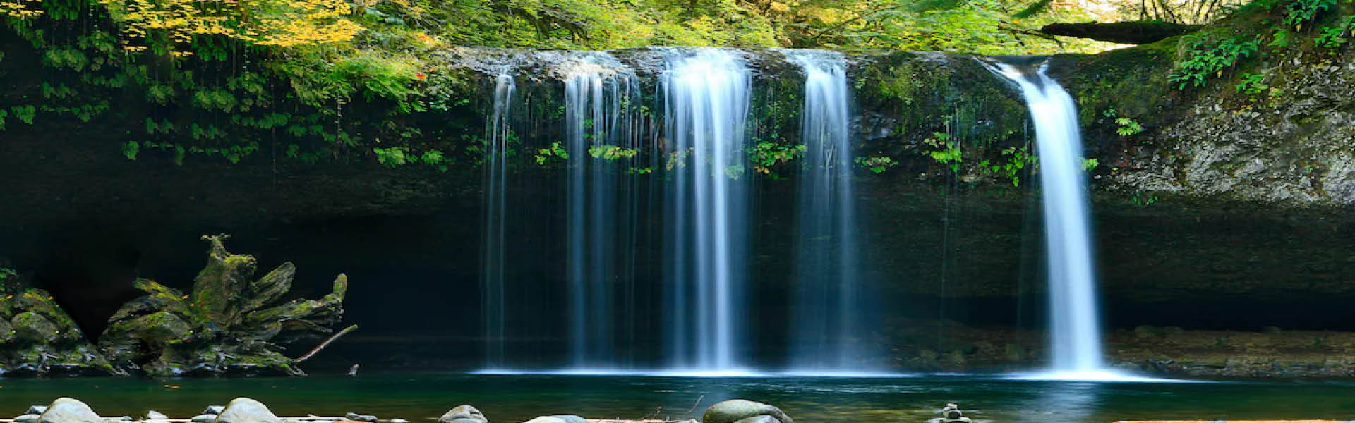 A waterfall starts with a single drop - TreasurySpring