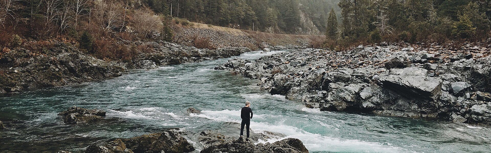 The 2020s - TreasurySpring