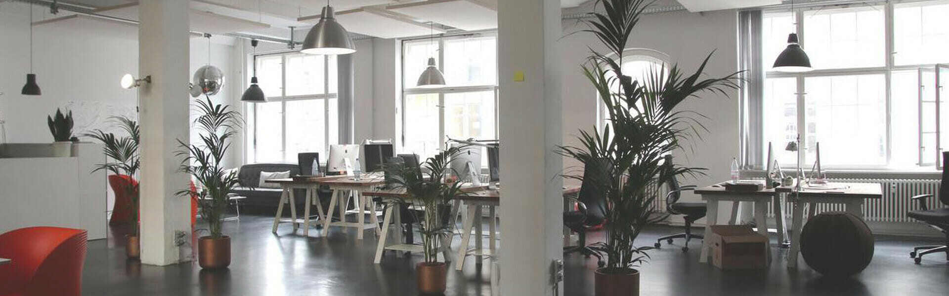 TreasurySpring raises £2m to fuel growth - TreasurySpring